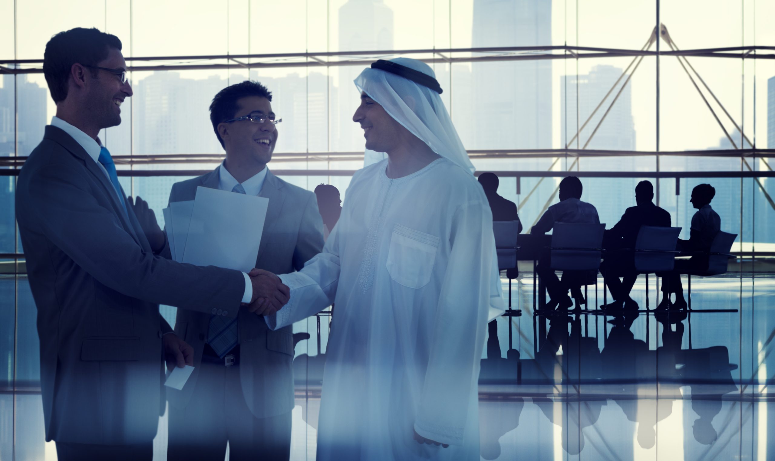 Climbing the Emiratisation Ladder: Strategies for Boosting Your Salary ...